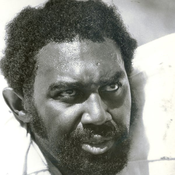 The Immaculate Reception: Catch of a Lifetime | Pro Football Hall of Fame